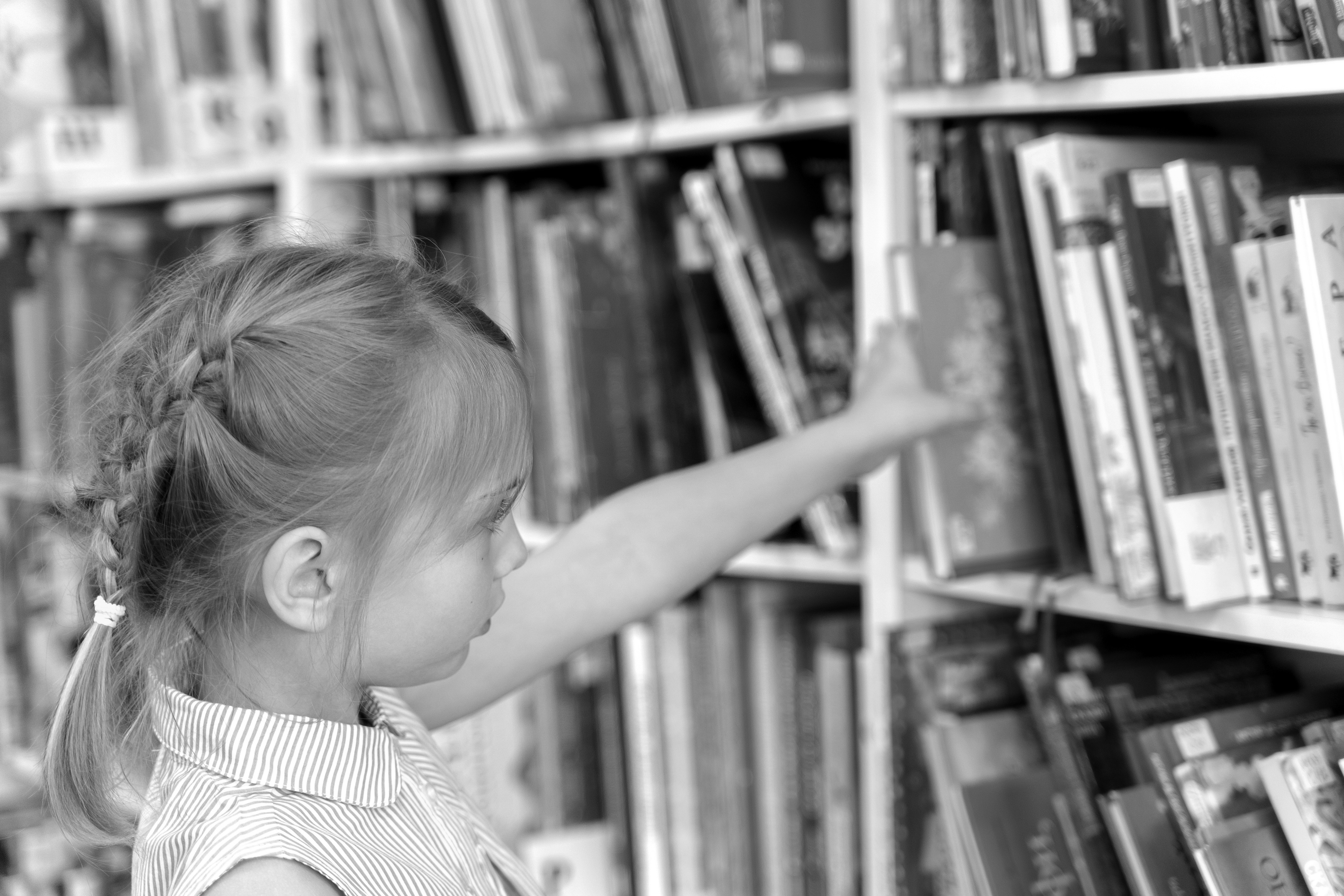 Your Pierce County Library Card: Unlocking more than just books | The ...