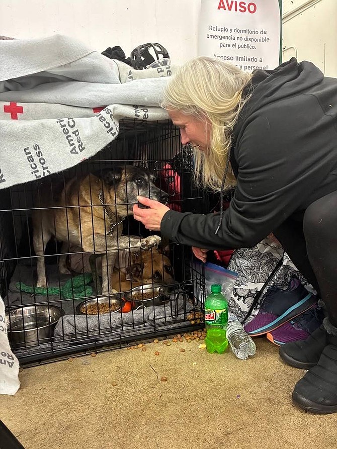 She wouldn’t leave her pets behind, Red Cross got them all out of flood ...
