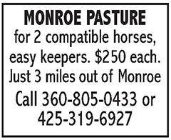 Everett High students walk out to protest ICE | Snohomish County Tribune